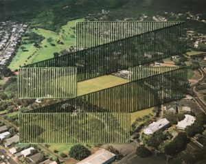 Shaun Kardinal - Artist Trust