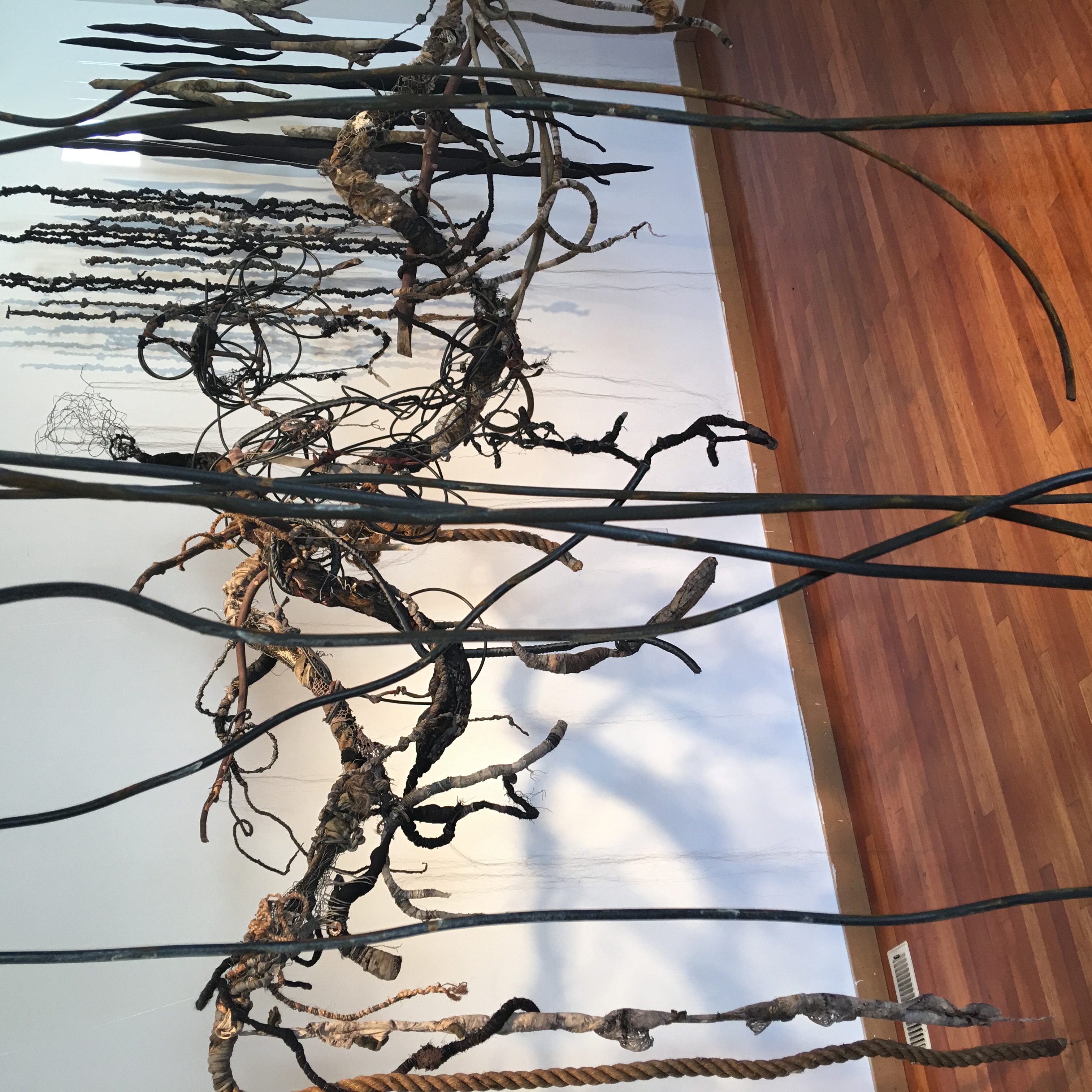 Clarissa Callesen - Artist Trust